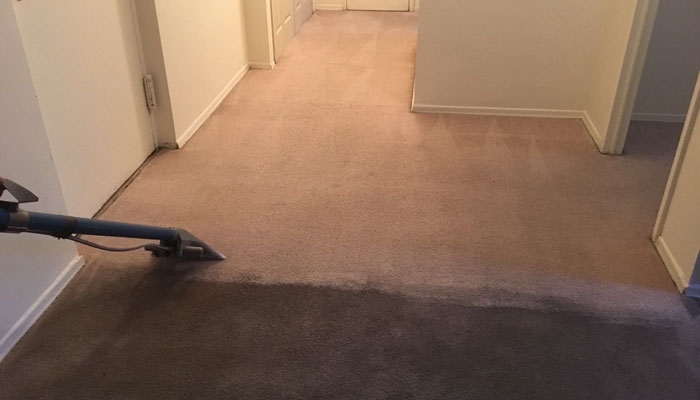Professional Deep Carpet Cleaning NJ | Deep Impact Pro